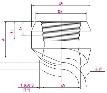 什么是MSS SP-97 支管座？- 标准简介、尺寸、规格